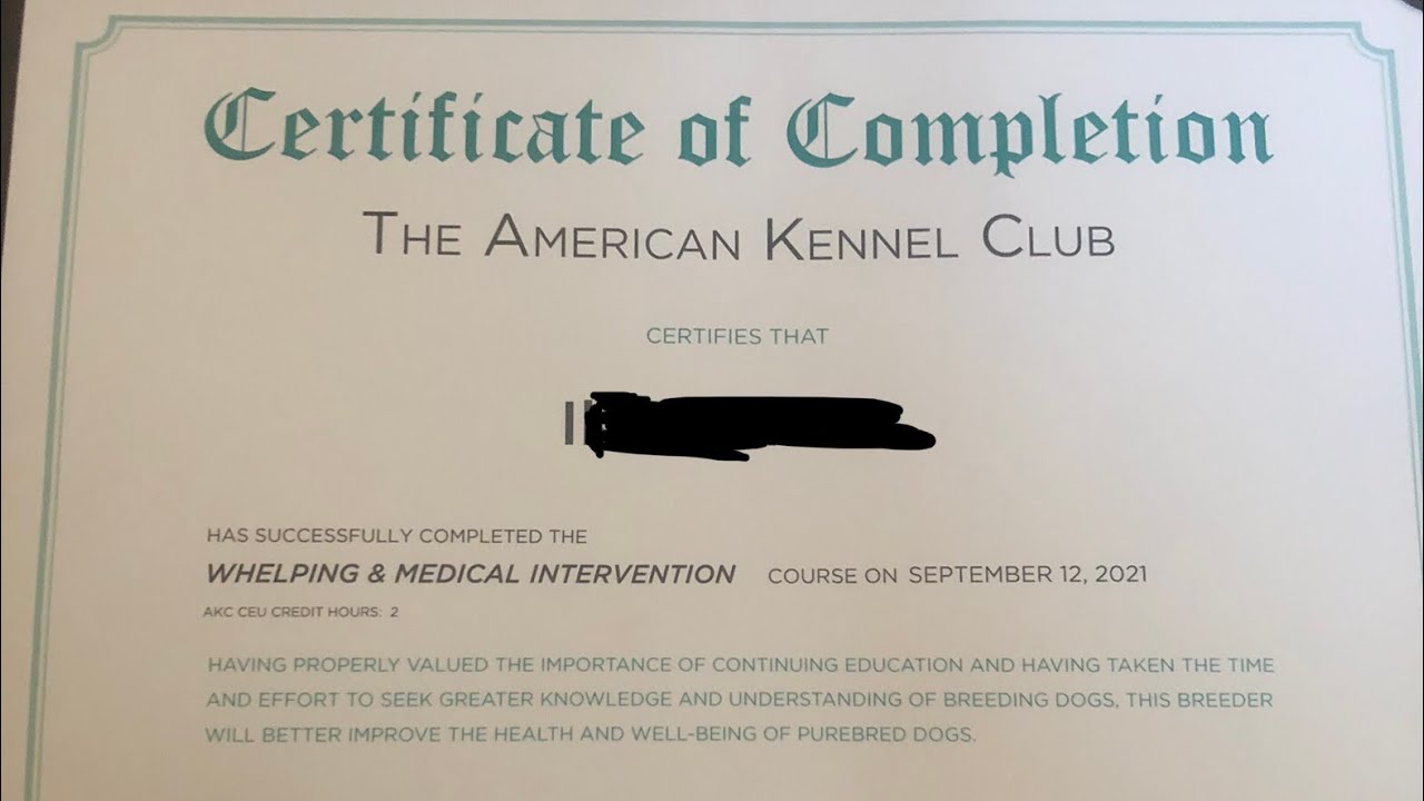 How To Become Certified In Whelping And Medical Intervention For Dog how-to-become-certified-in-whelping-and-medical-intervention-for-dog