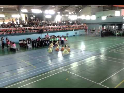 TSC Foundation Day Field Demonstration with Miles - YouTube