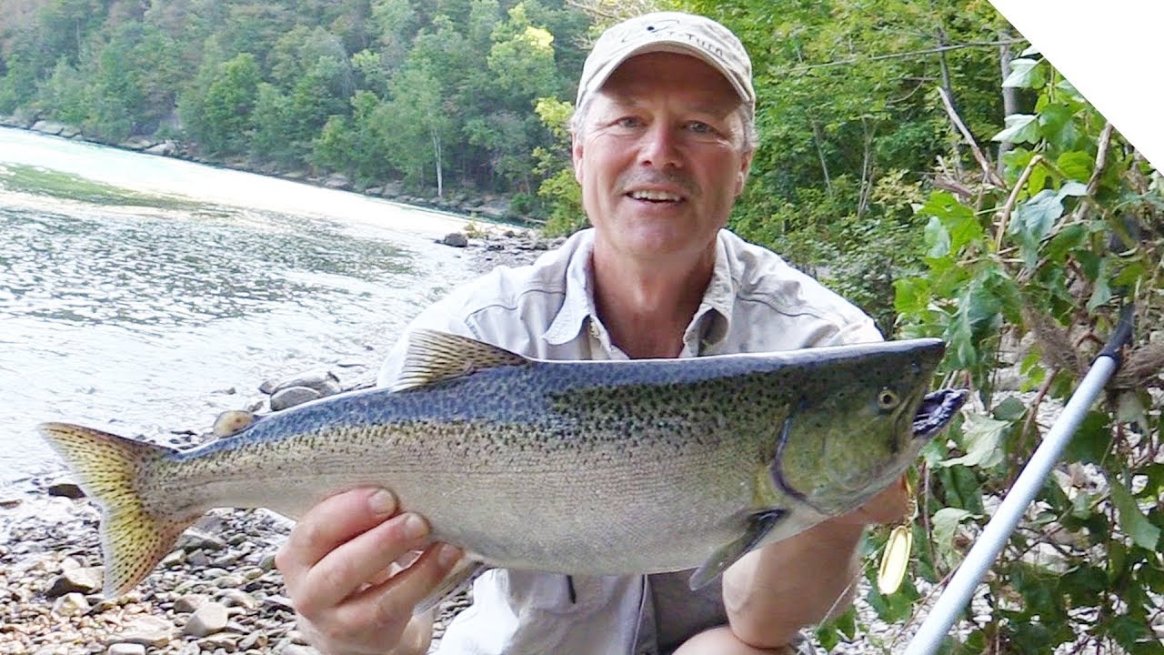 Using the New Stingeye Spinner to Catch Salmon - YouTube