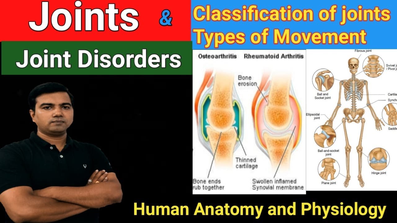 Osseous System (L-4) Joints, Classification of joints, Type of movements, Disorders of joints ...