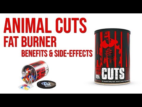 Animal Cuts Fat Burner Review - Benefits & Side Effects