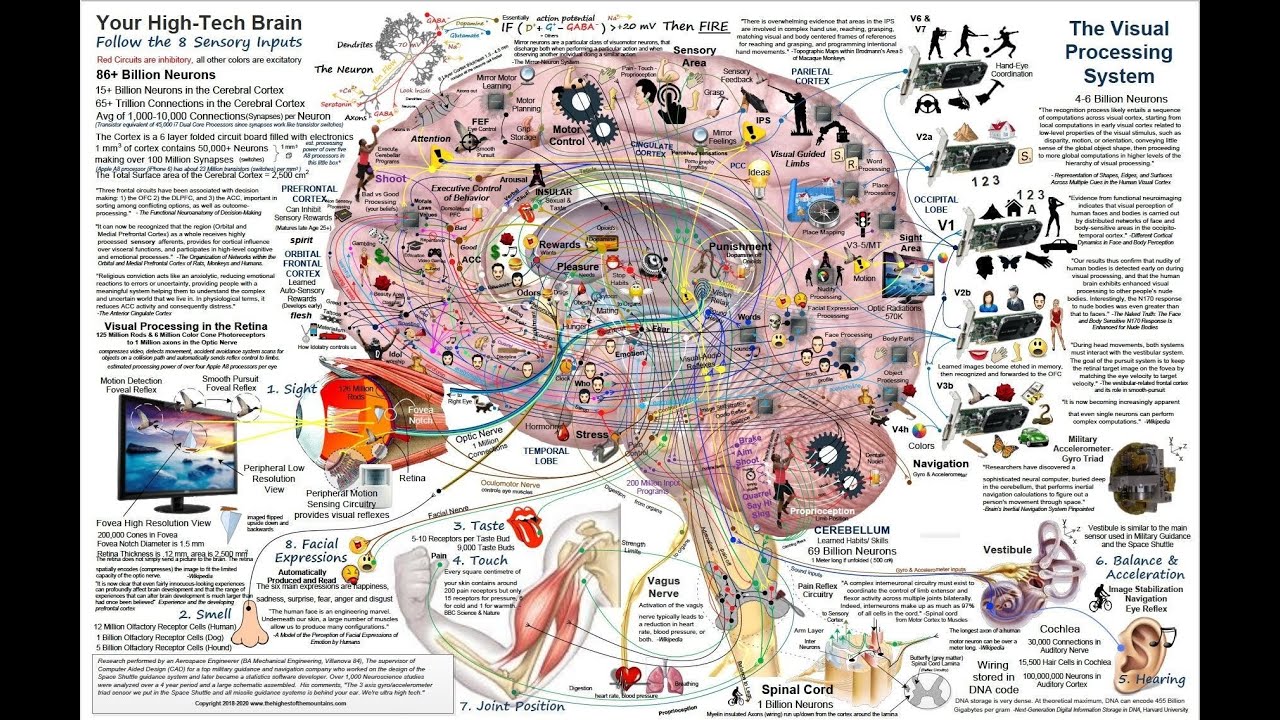 Decoding Neuromorphic Computing: The McGinty Equation's Keys - YouTube