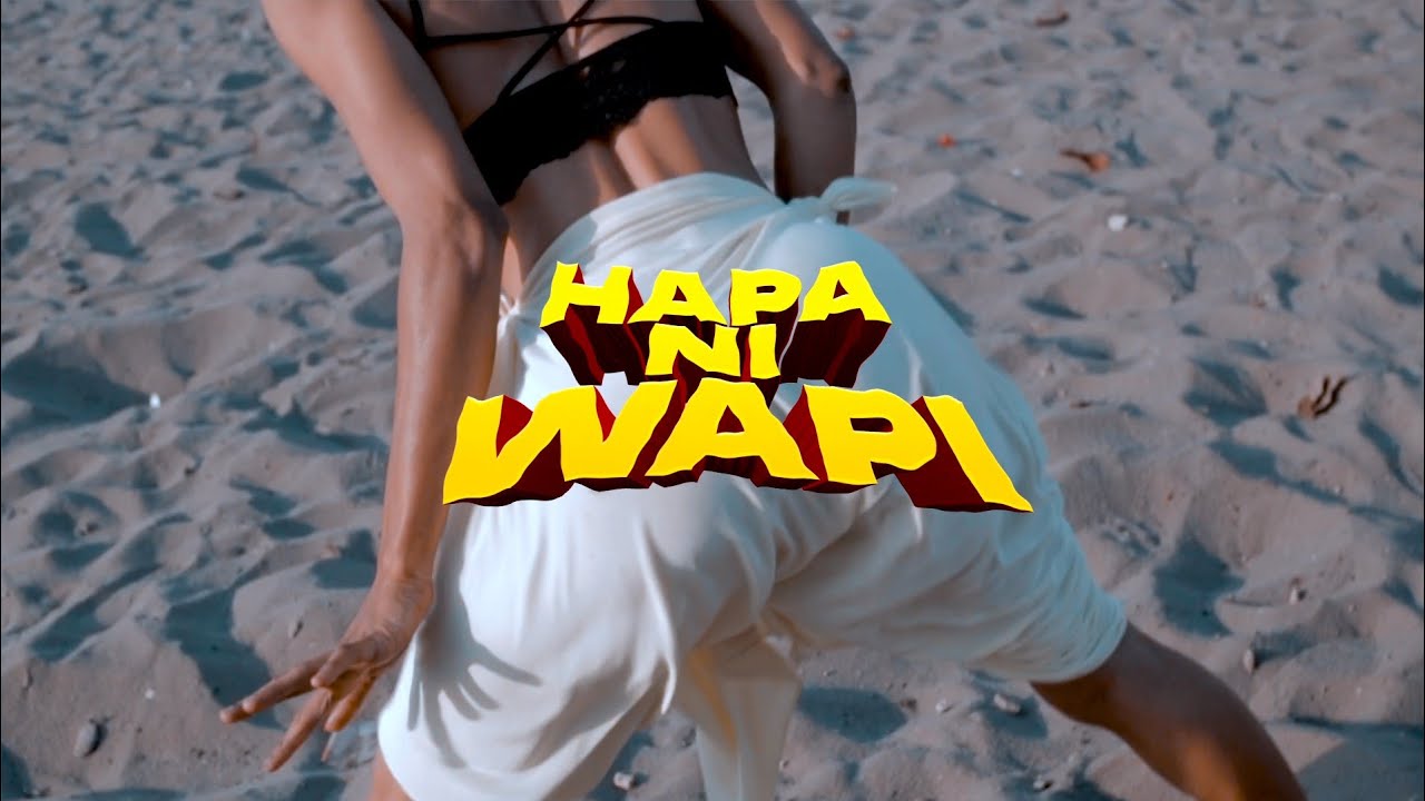 Hapa ni wapi (official video)__ Amiri Amiri. - YouTube