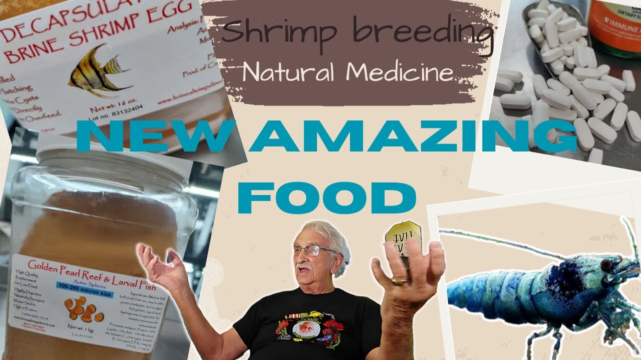 Breeding Shrimp, Natural Medicine, New Amazing Food, and More - YouTube