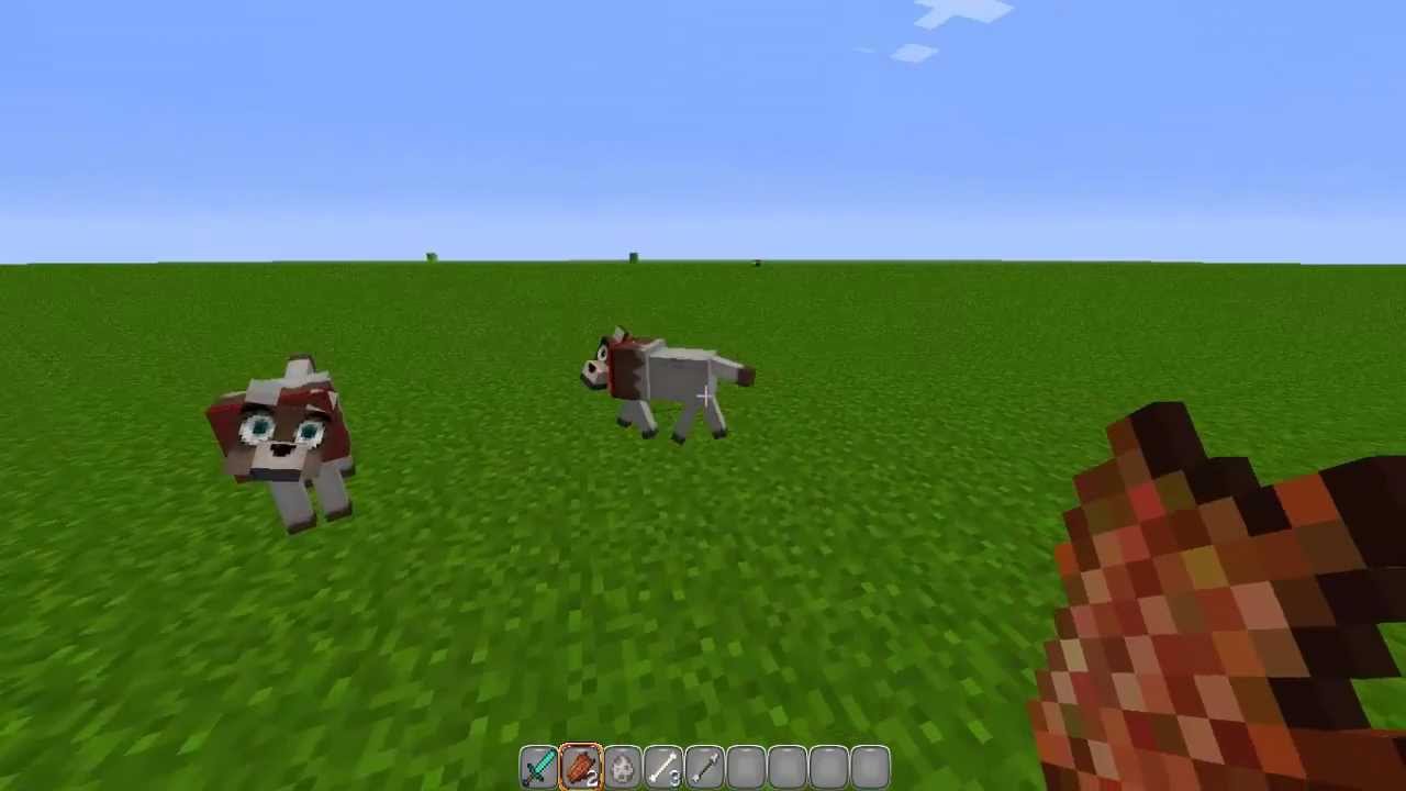 Minecraft como domesticar um cachorro e usar a carne podre - YouTube