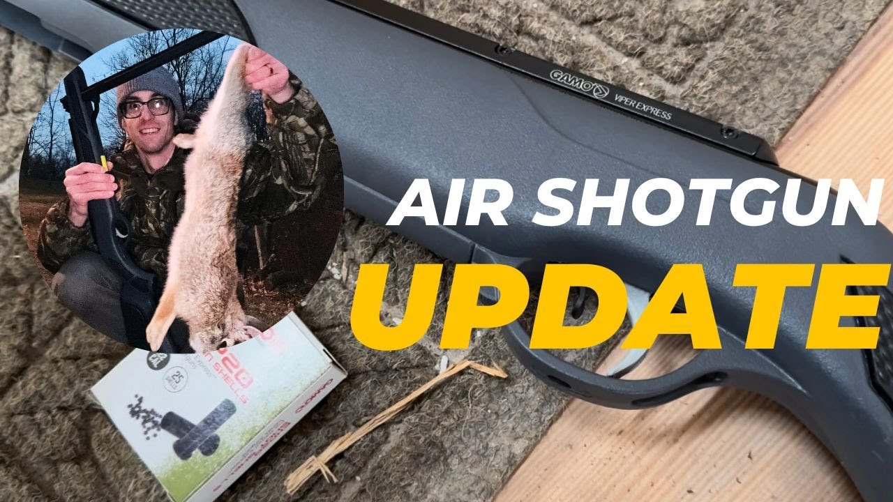 Viper Express Second Look!!! - YouTube