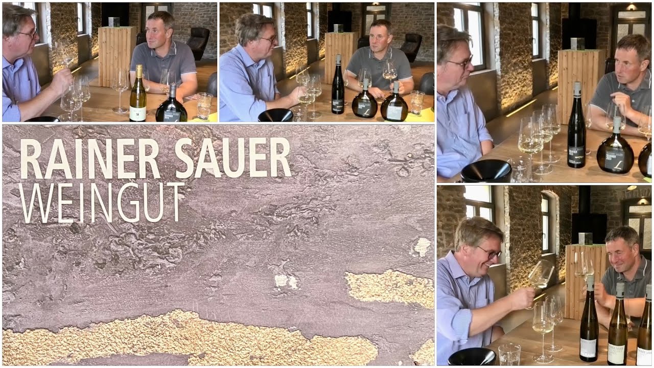 Folge 1250 What's Up? Weingut Rainer Sauer (No.2) - YouTube