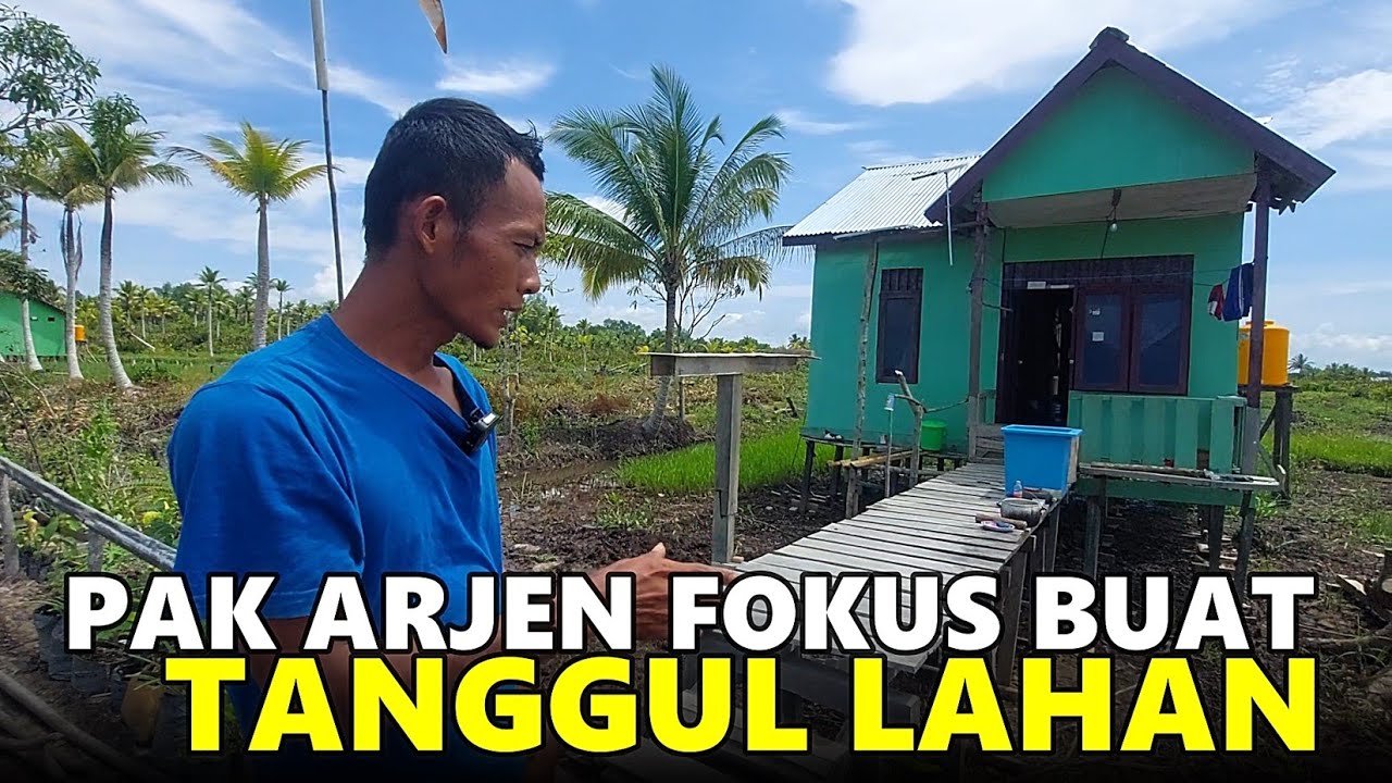 KEGIATAN BERTANI PAK ARJEN ASAL BANTUL, WARGA TRANSMIGRASI BARU SP10 TANJUNG BUKA KALTARA - YouTube