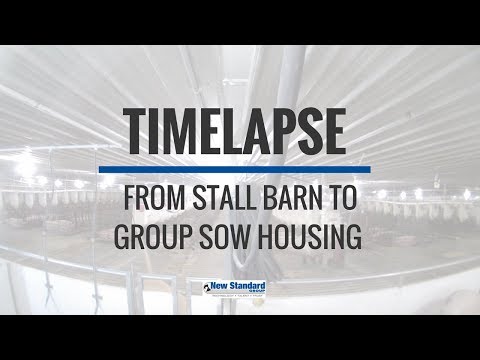 Group Sow Housing Remodel Timelapse - New Standard Group