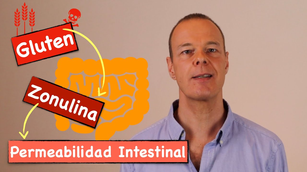 Gluten, Zonulina y Permeabilidad Intestinal - YouTube