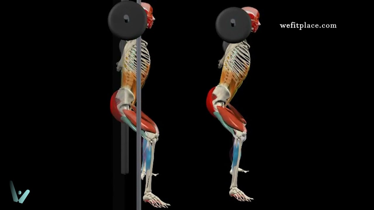 Como HACER😱 Sentadilla SUMO MULTIPOWER🍑 - Análisis Biomecánico EN 1 ...