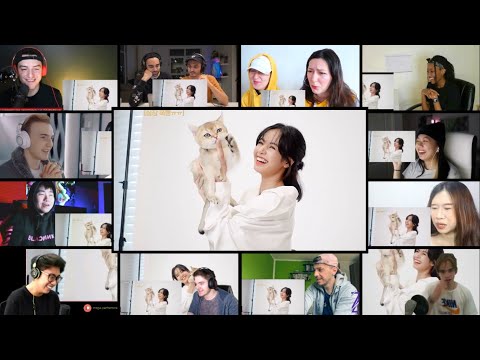 LISA REACTION MASHUP - LILI's FILM - Introducing the L Family