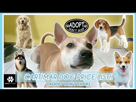 CARTIMAR PET SHOP DOG PRICE LIST ||Cartimar Pet Center Dog Shop UPDATE ...