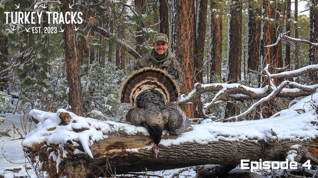TURKEY HUNTING in the SNOW! | ARIZONA TURKEY HUNTING | EP. 4 - YouTube