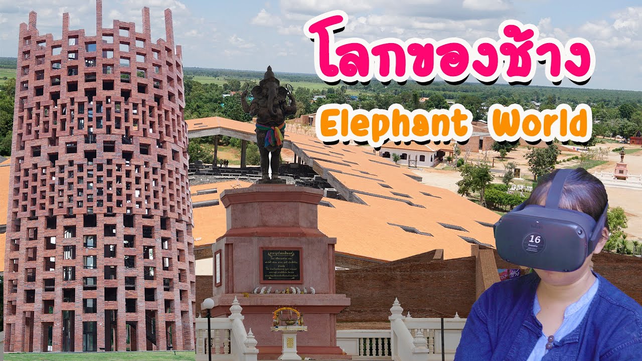 โลกของช้าง Elephant world - YouTube