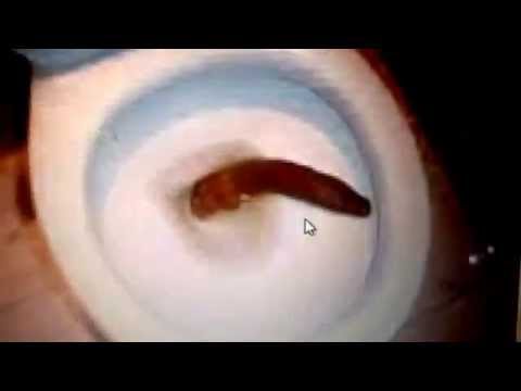 Caca mare verde alex - YouTube