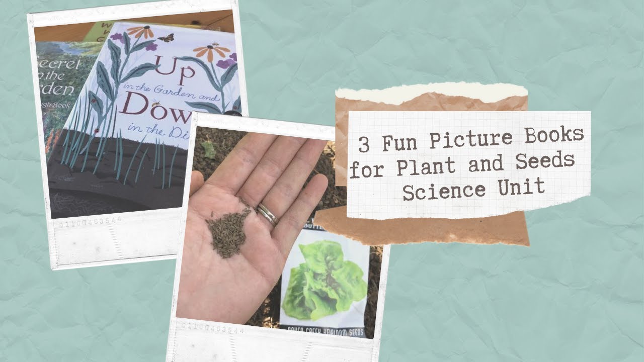 3 Fun Books for Science || Plants and Seeds Unit || Homeschool - YouTube
