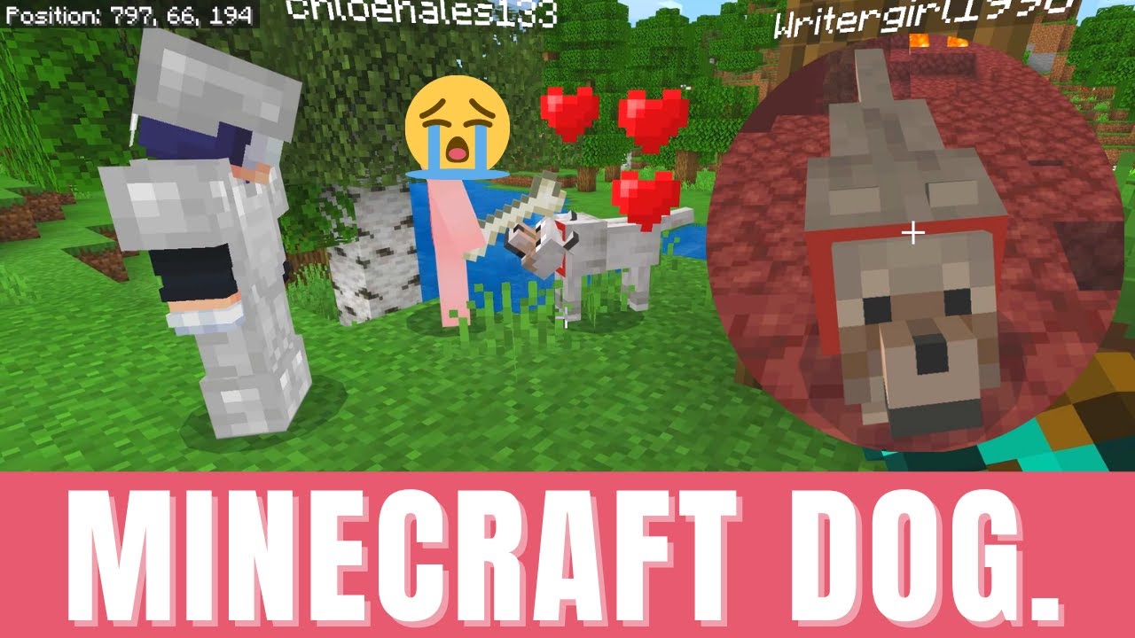 Minecraft Dog - YouTube