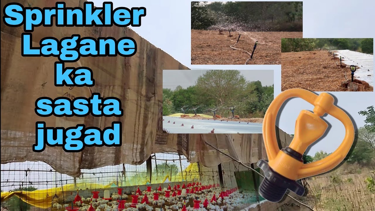 How to instal sprinkler in poultry || new idea for poultry - YouTube