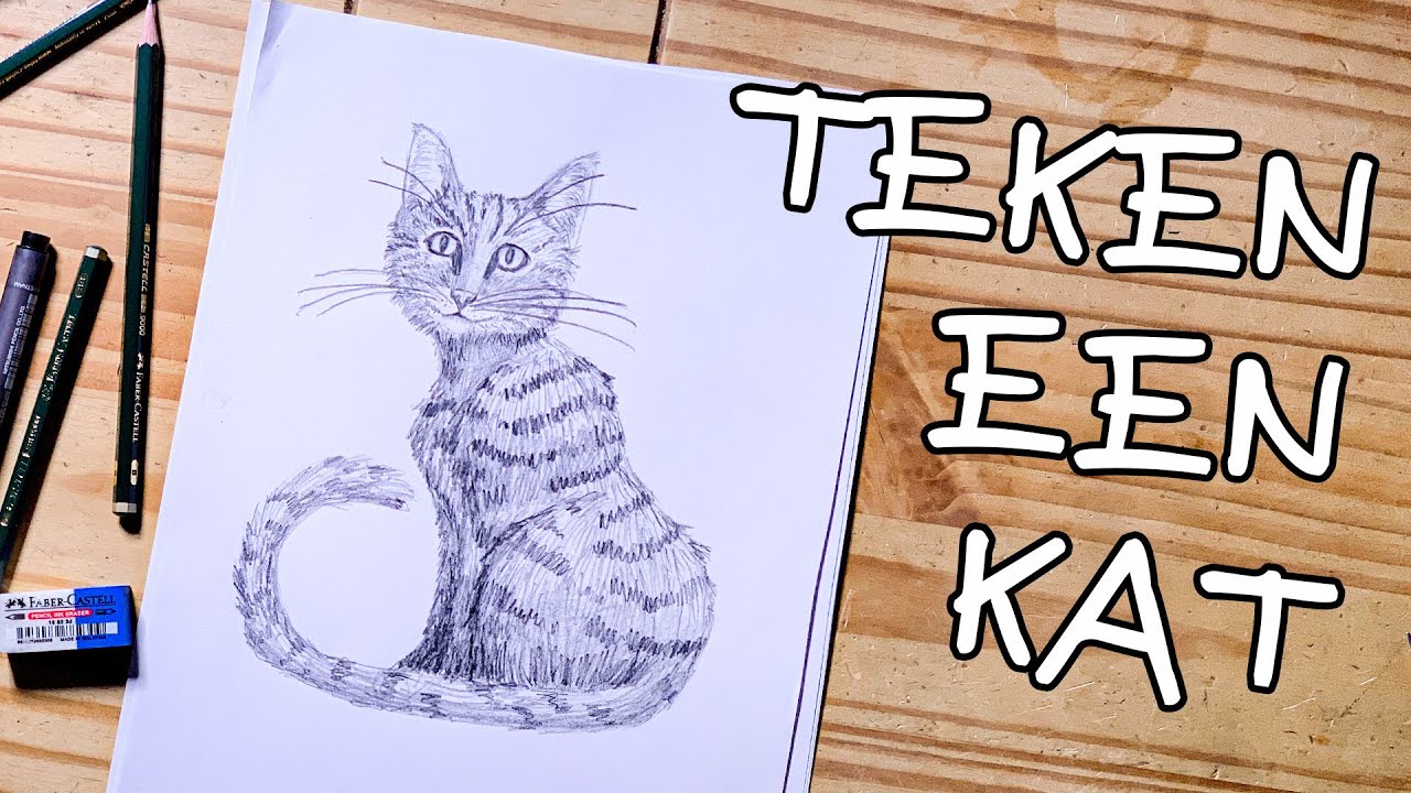 Kat Tekenen Hoe Teken Je Simpel Een Kat Robin Rozend