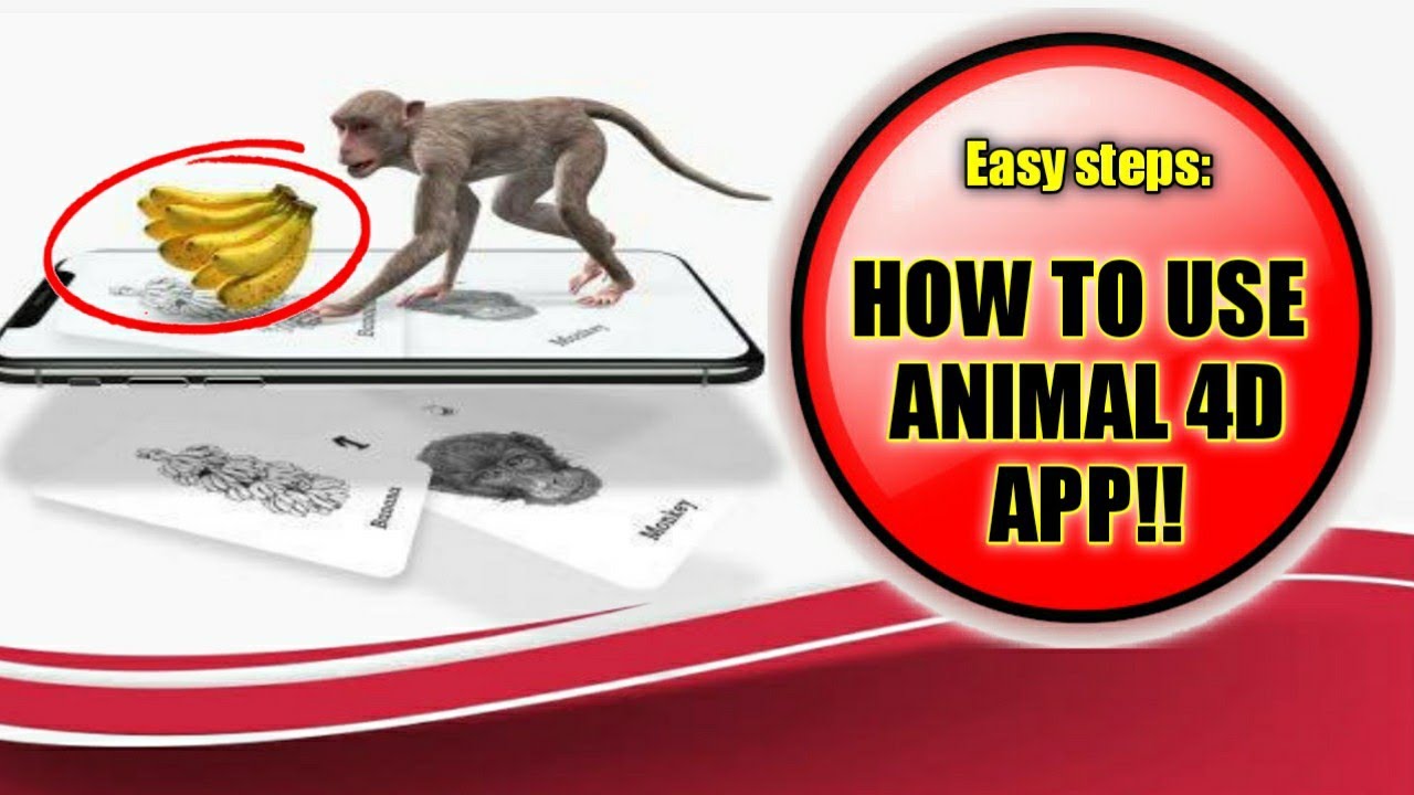 PAANO GAMITIN ANG ANIMAL 4D APP!! INTERACTIVE APPLICATION!! - YouTube