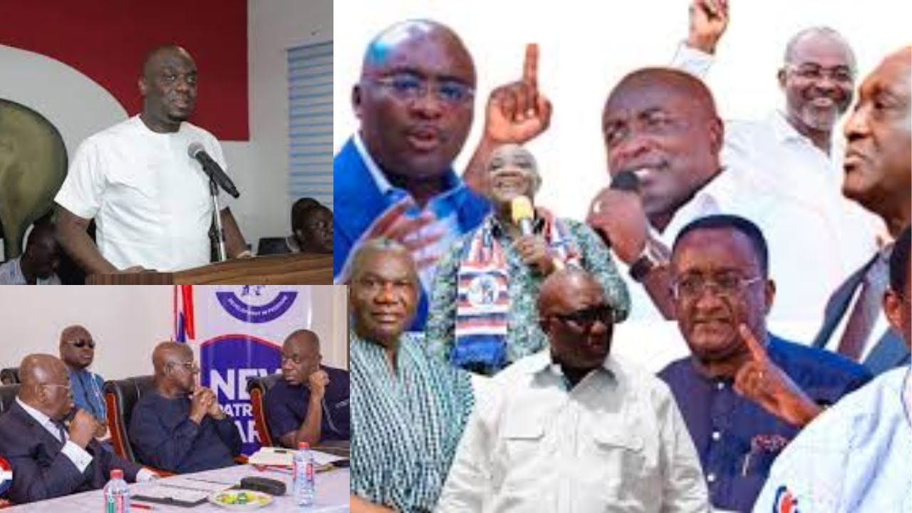 BREAKING NEWS From NPP Headquarters;Full List Of Qualified Aspirant ...