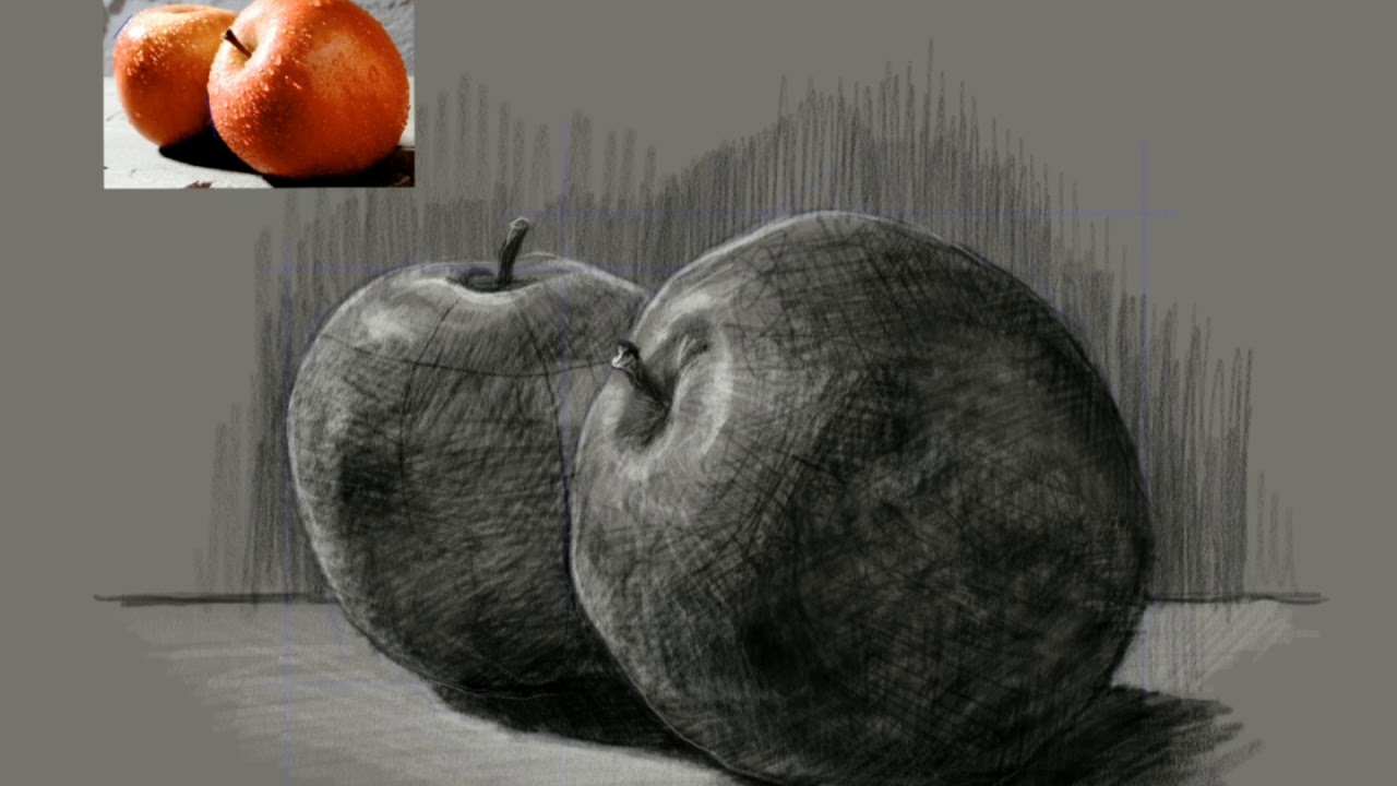 APPLES-SPEED DRAWING (HATCHING TECHNIQUE) USING AUTODESK SKETCHBOOK ...