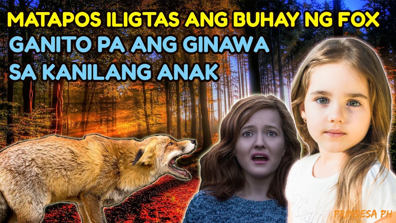 BATA INILIGTAS ANG BUHAY NG ISANG FOX MAGIGIMBAL KA SA GINAWA NG FOX ...