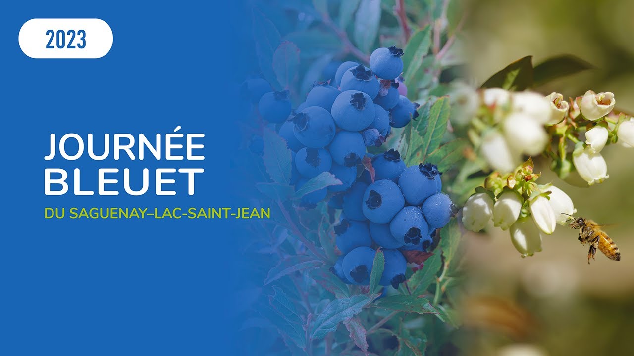 La journée bleuet du Saguenay–Lac-Saint-Jean - YouTube