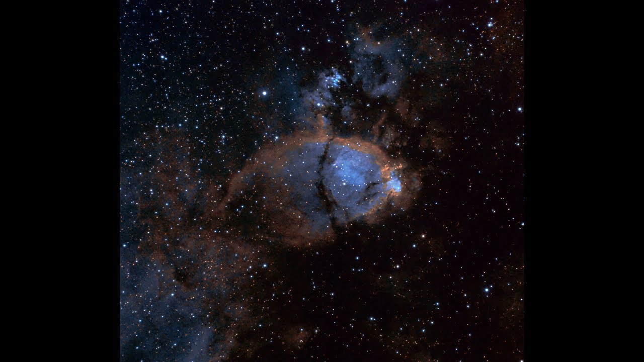 Nebula Fish