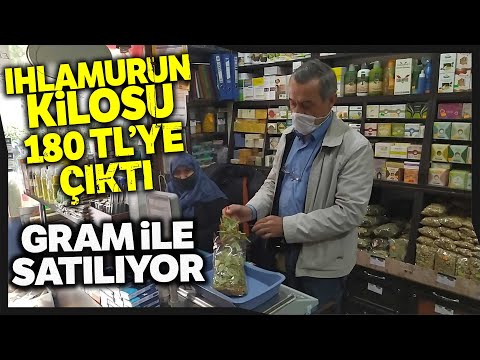 Ihlamur Fiyatları Altın Gibi Sürekli Yükseliyor
