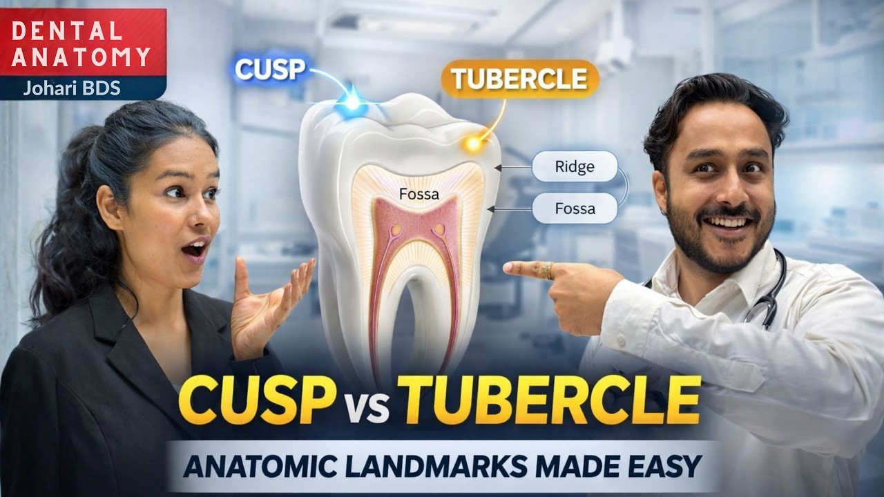 Anatomic Landmarks of Teeth Made Easy | Cusp vs Tubercle | Johari BDS ...