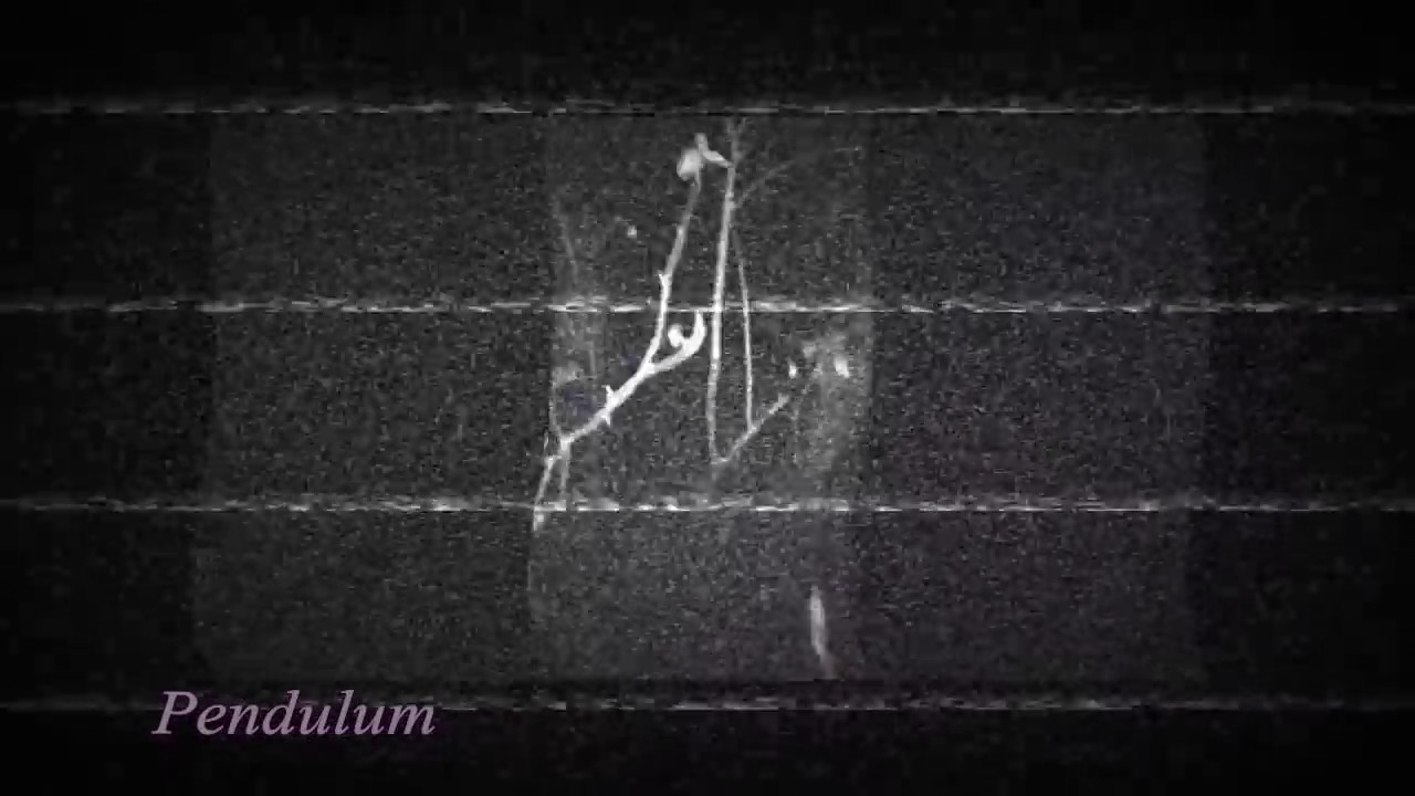 ΦΑΝΤΑΣΜΑΤΑ - Με Λένε Μαρία GHOST Paranormal Activity - YouTube