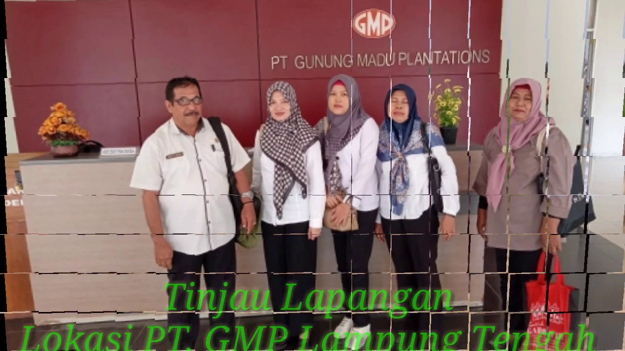 Peninjauan Lapangan di PT. GMP Lampung Tengah - YouTube