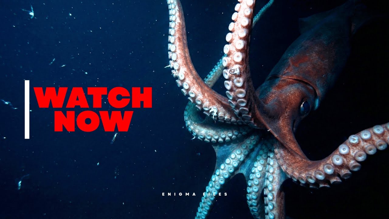 10 Most TERRIFYING Ocean Creatures Ever Discovered - YouTube