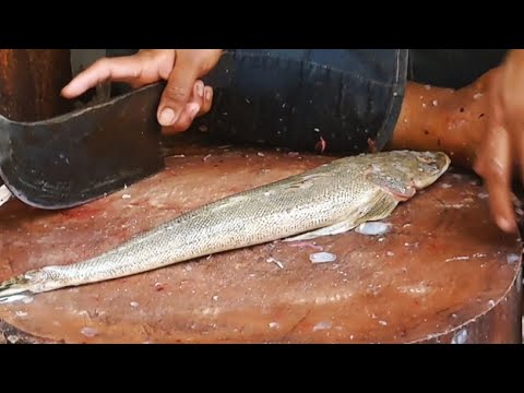 kukkad fish cutting skills best fishing - YouTube