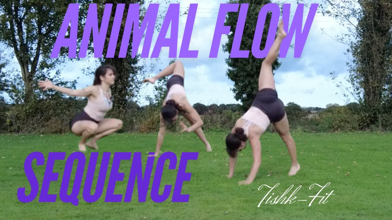 Animal Flow Beginner Sequence - YouTube