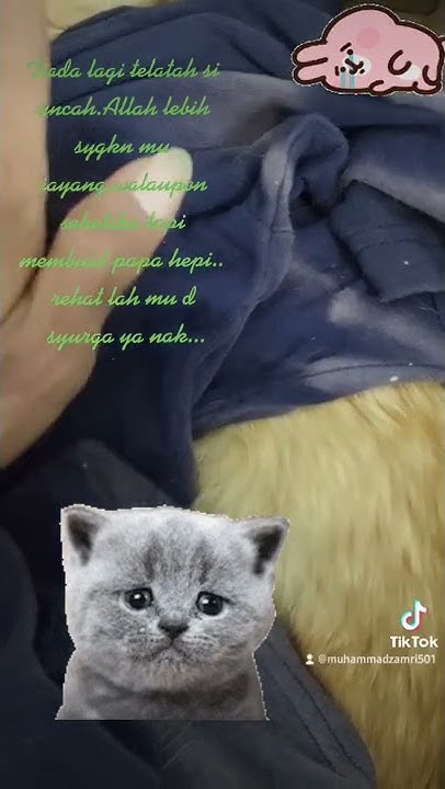 maaf semua.LeO dh x ada sebb kena racun.. - YouTube