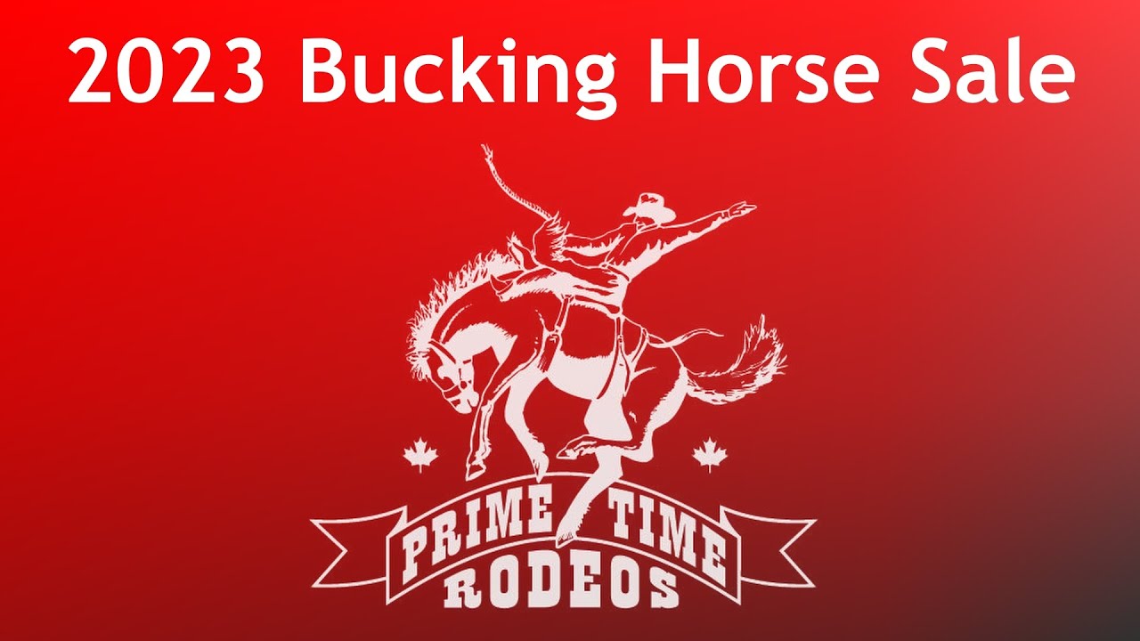 2023 Prime Time Rodeo Bucking Horse Sale - Promotional Video - YouTube