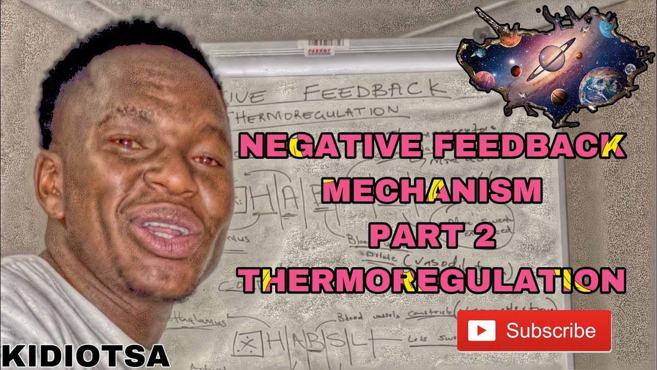 P2| NEGATIVE FEEDBACK MECHANISM| GRADE 12 #LIFESCIENCE ...