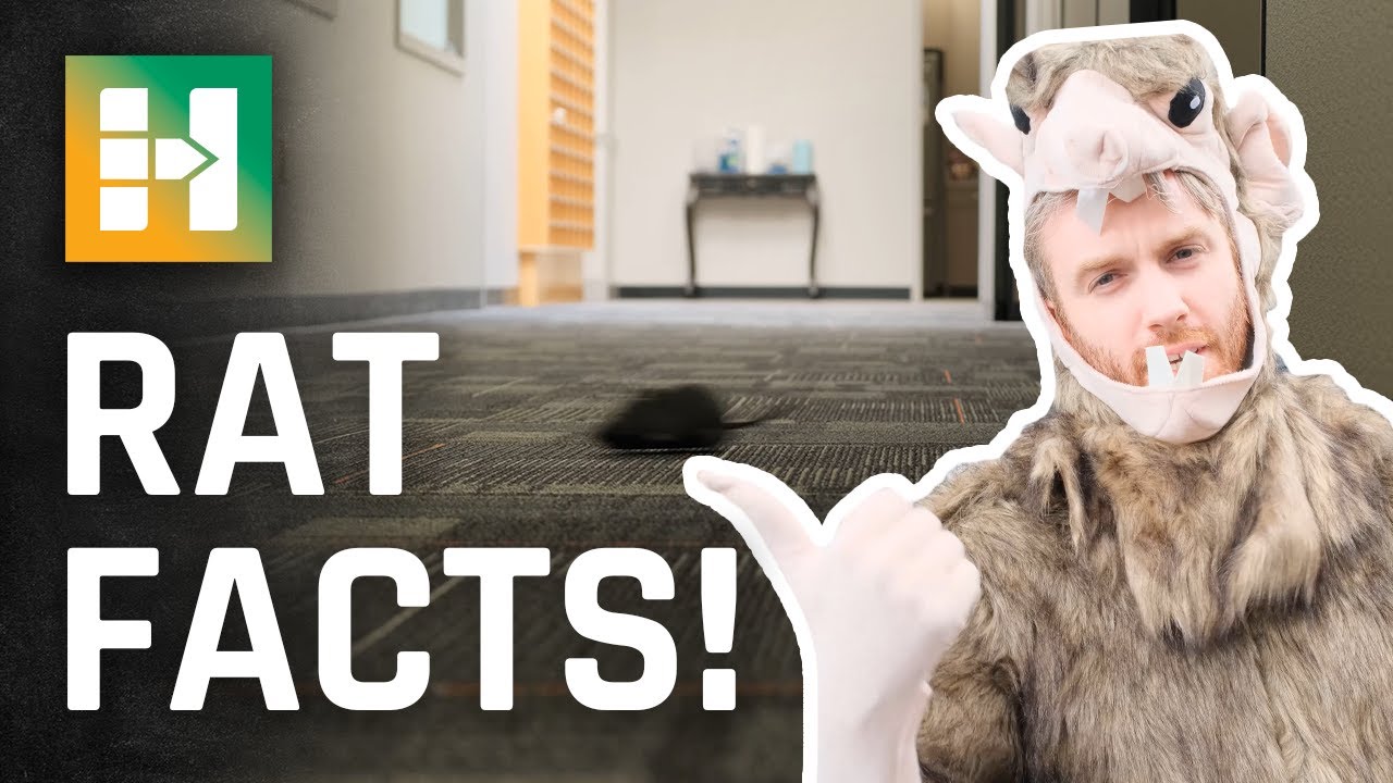 HRP Explains: Vector Borne Pathogens - Rodent Transmission of the ...