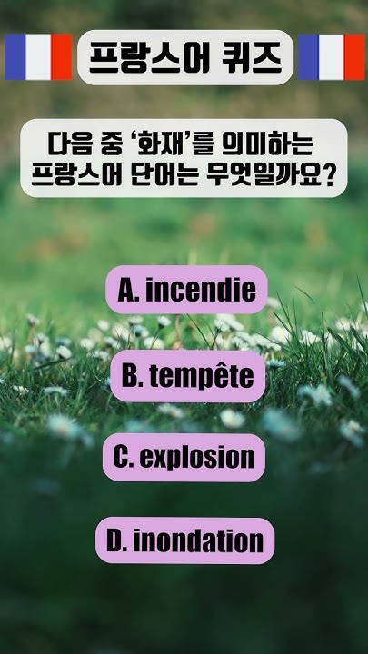 오늘의 프랑스어 퀴즈 시리즈 프랑스어배우기 프랑스어기초 프랑스어회화 프랑스어발음 Shorts 프랑스어노래 프랑스어숫자 프랑스어독학 프랑스어공부 프랑스어