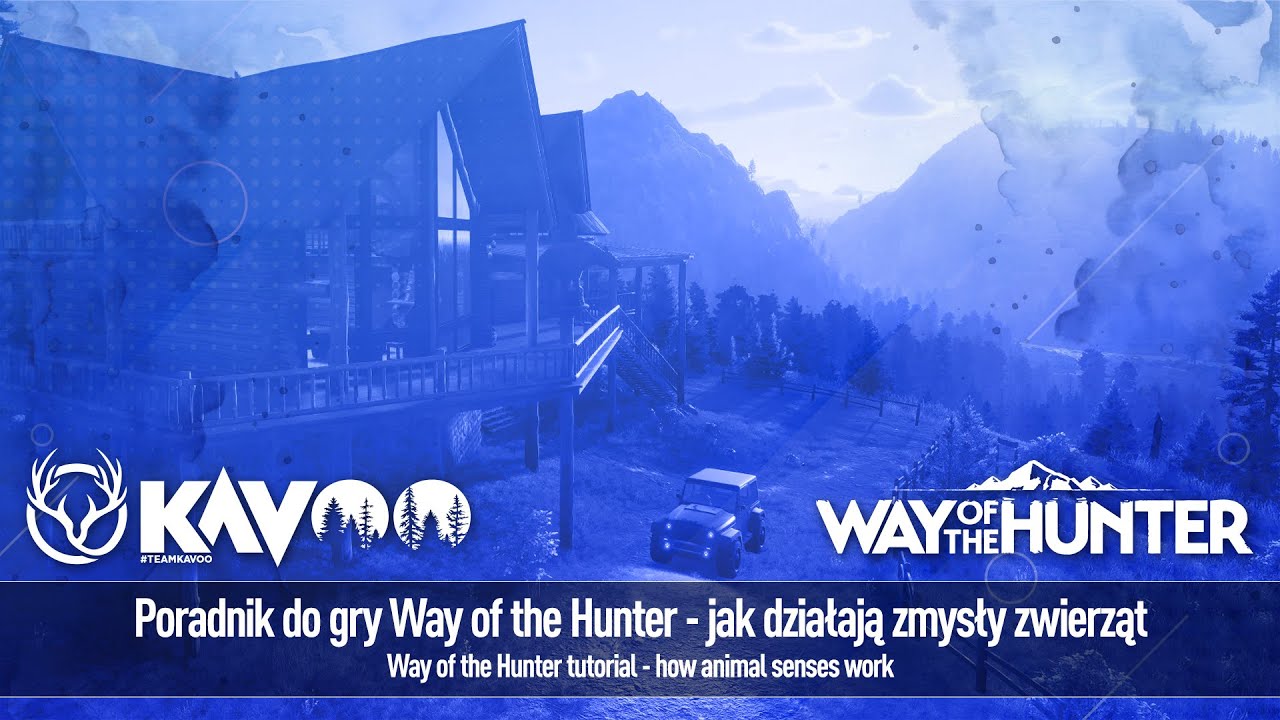 Poradnik do gry Way of the Hunter - jak działają zmysły zwierząt - YouTube