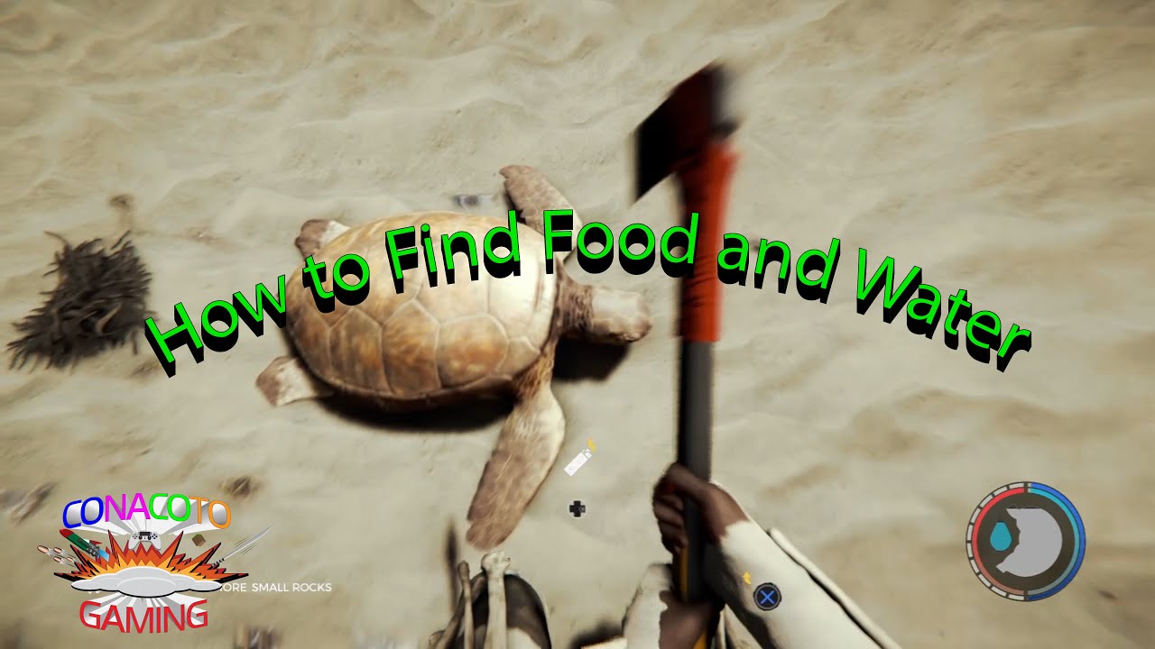 The Forest Tutorial 4: How to Find Food and Water - YouTube