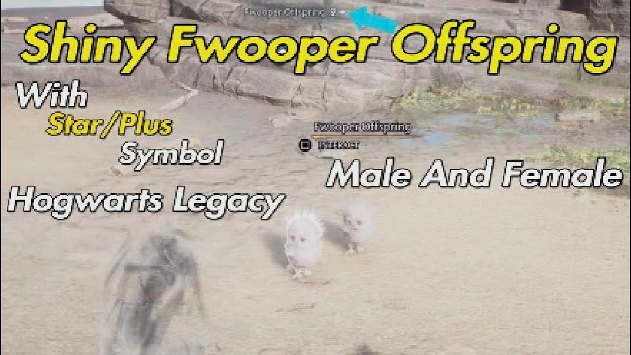 Hogwarts Legacy - Shiny Fwooper Offspring Male And Female With Star ...