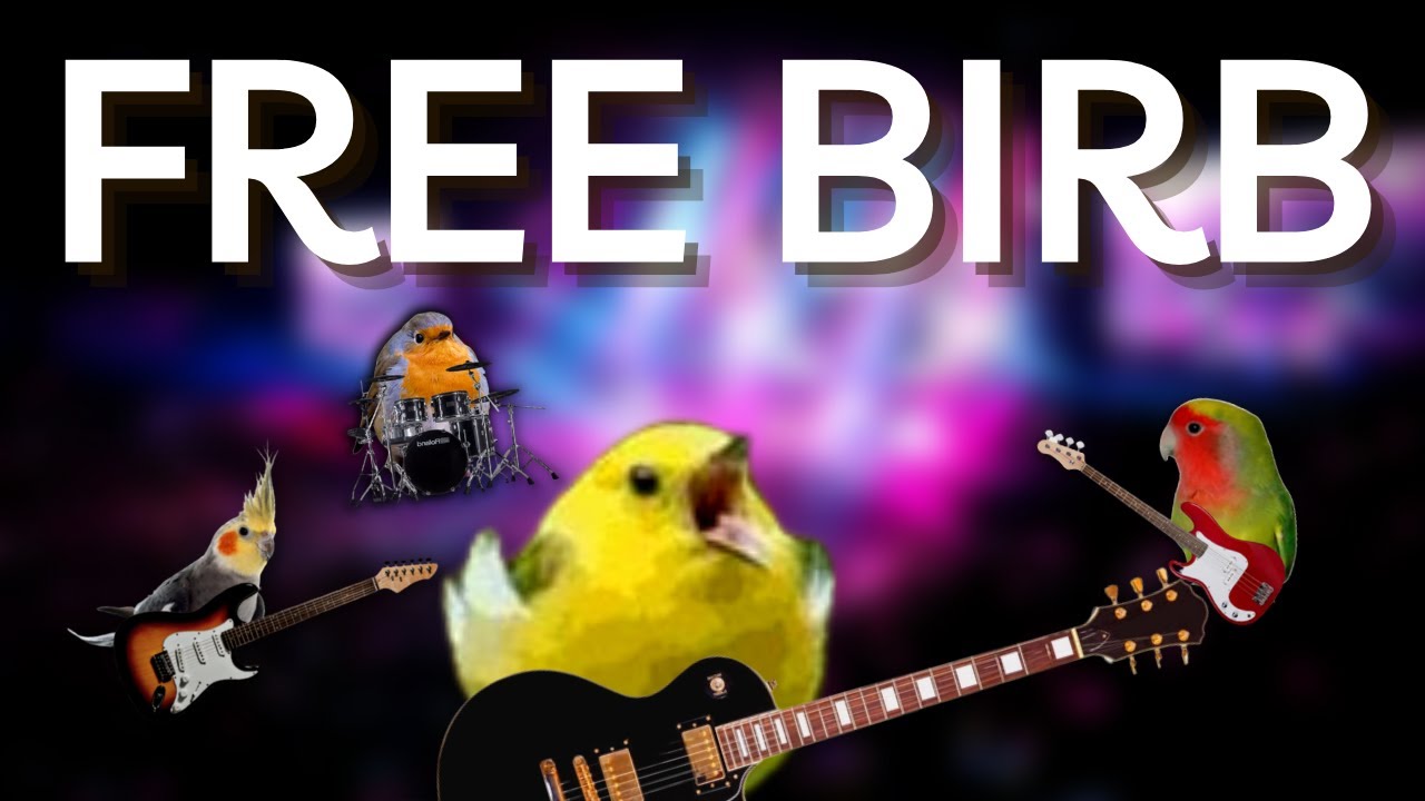 Free Birb - YouTube