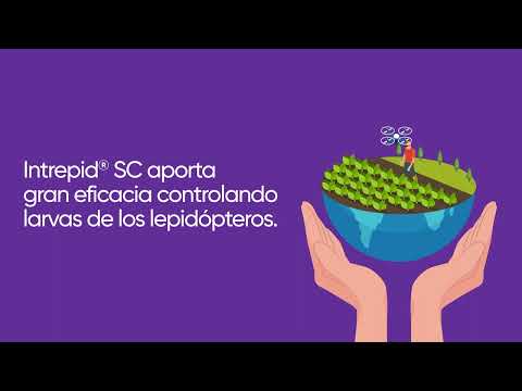 Intrepid® SC de Corteva.