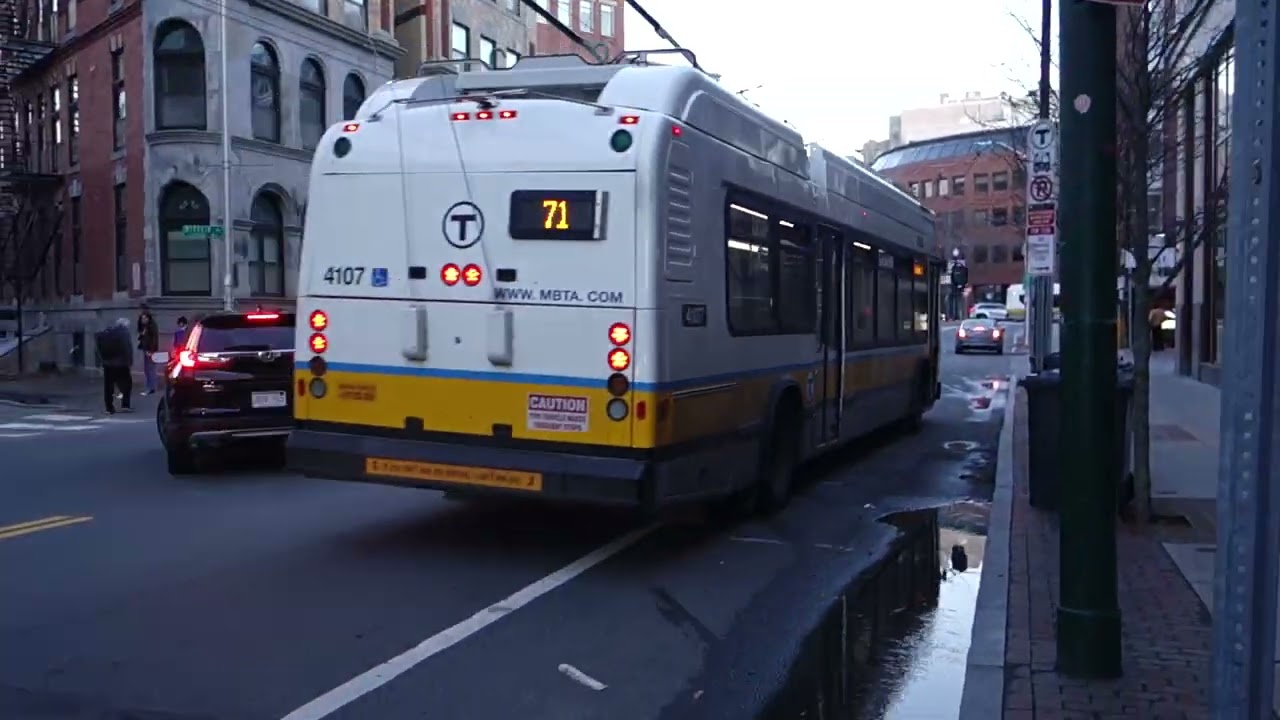 MBTA "T" Bus: Neoplan AN-440LF ETB Routes 71 & 73 @ Mt. Auburn & Story ...