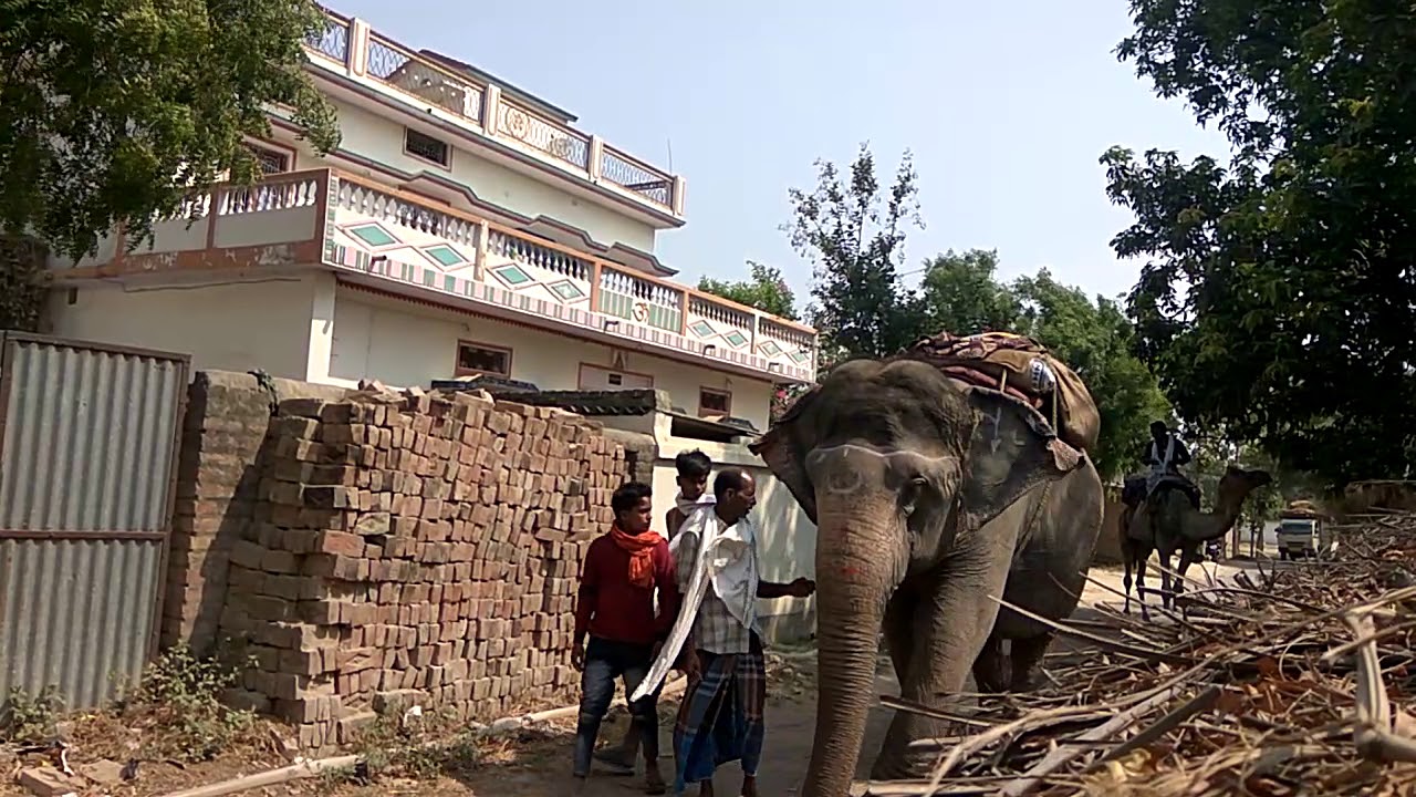 Pintu Raja Hindustani(1) - YouTube