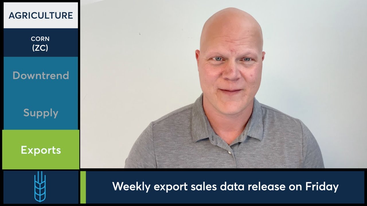 May Corn futures sink to contract low, 2/22/24 - YouTube